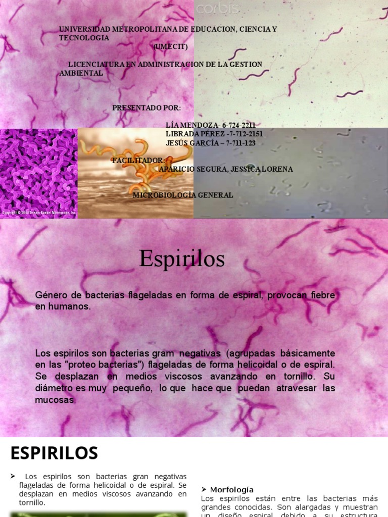 Espirilos Charla | PDF | Ciencia y matemáticas