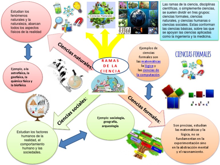 Ramas de La Ciencia | PDF