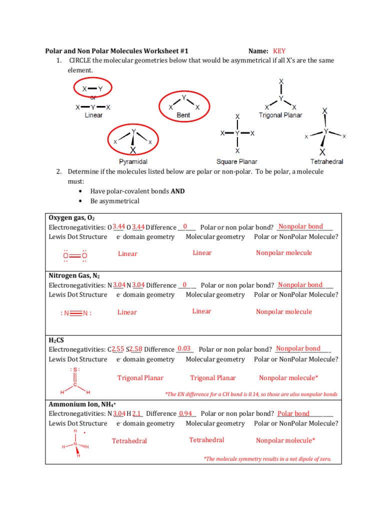 Polar and Non Polar Molecules Worksheet 1 KEY | Download Free PDF ...
