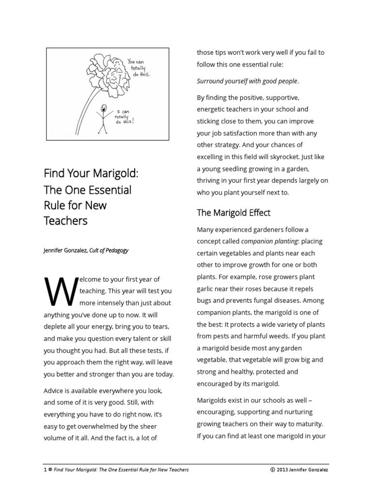 Find Your Marigold | PDF | Plants | Vegetables