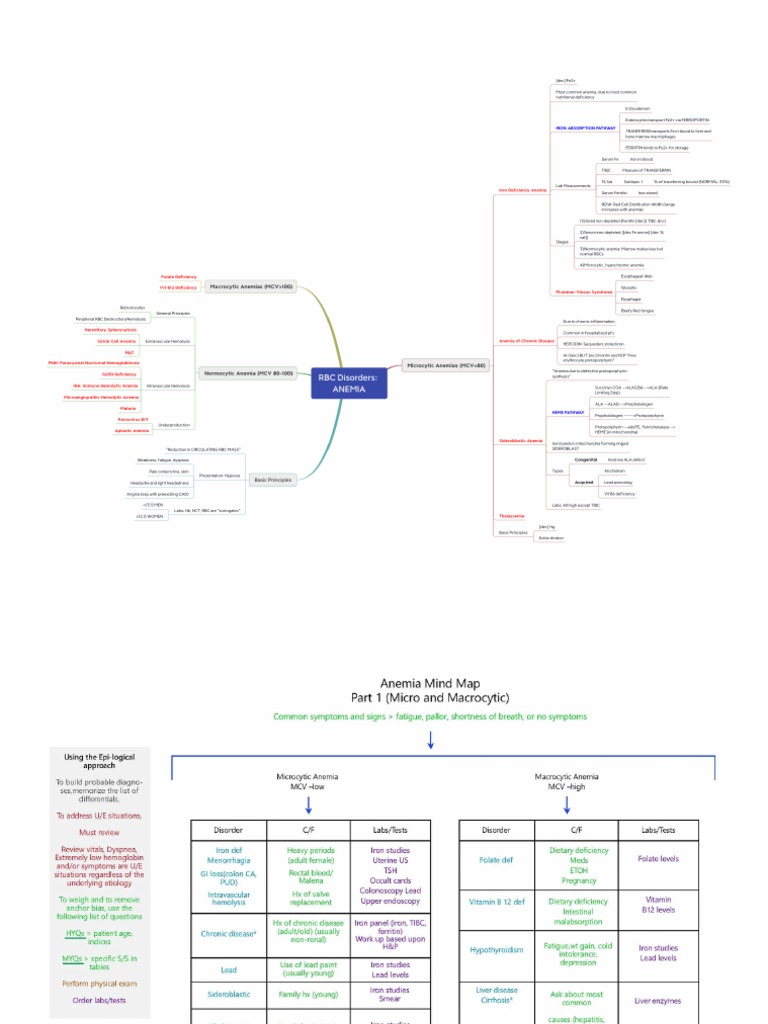Mind Map-Anemia Gravis | PDF