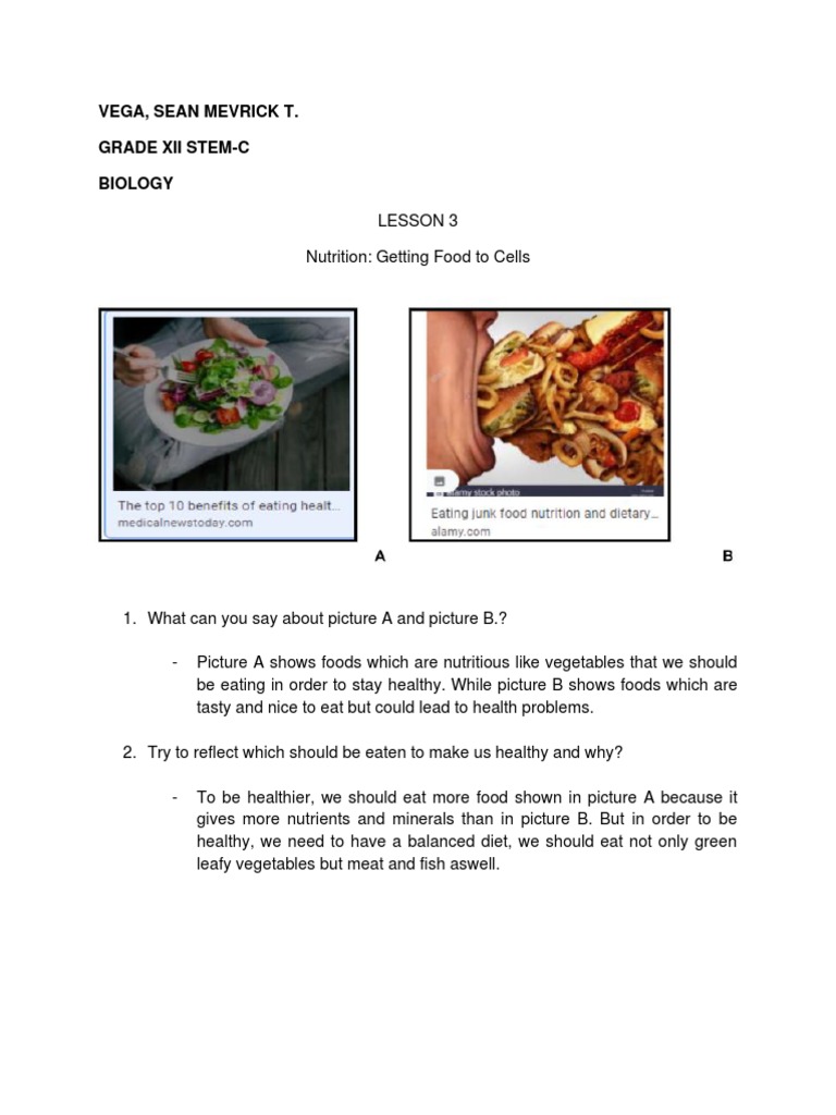 Biology Lesson 3 | PDF | Digestion | Gastrointestinal Tract