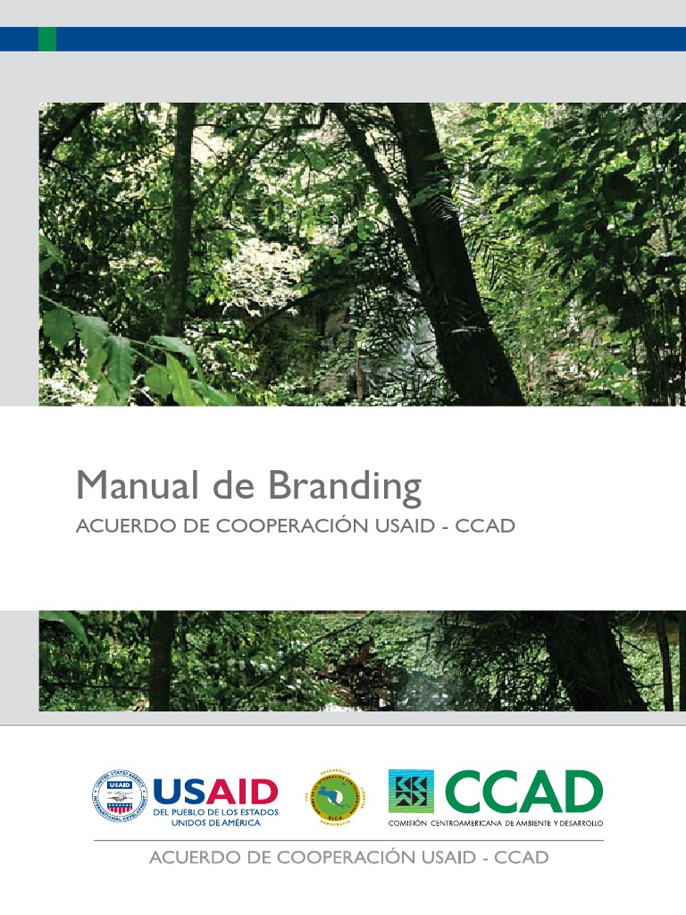 Manual de Branding Capitulo 1 Identidad Grafica Del Acuerdo | PDF ...