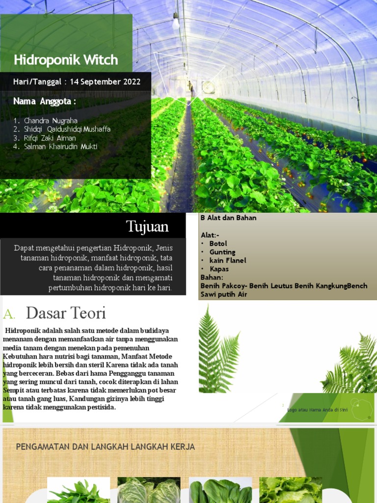 Hidroponik Witch-1 | PDF | Griya & Taman