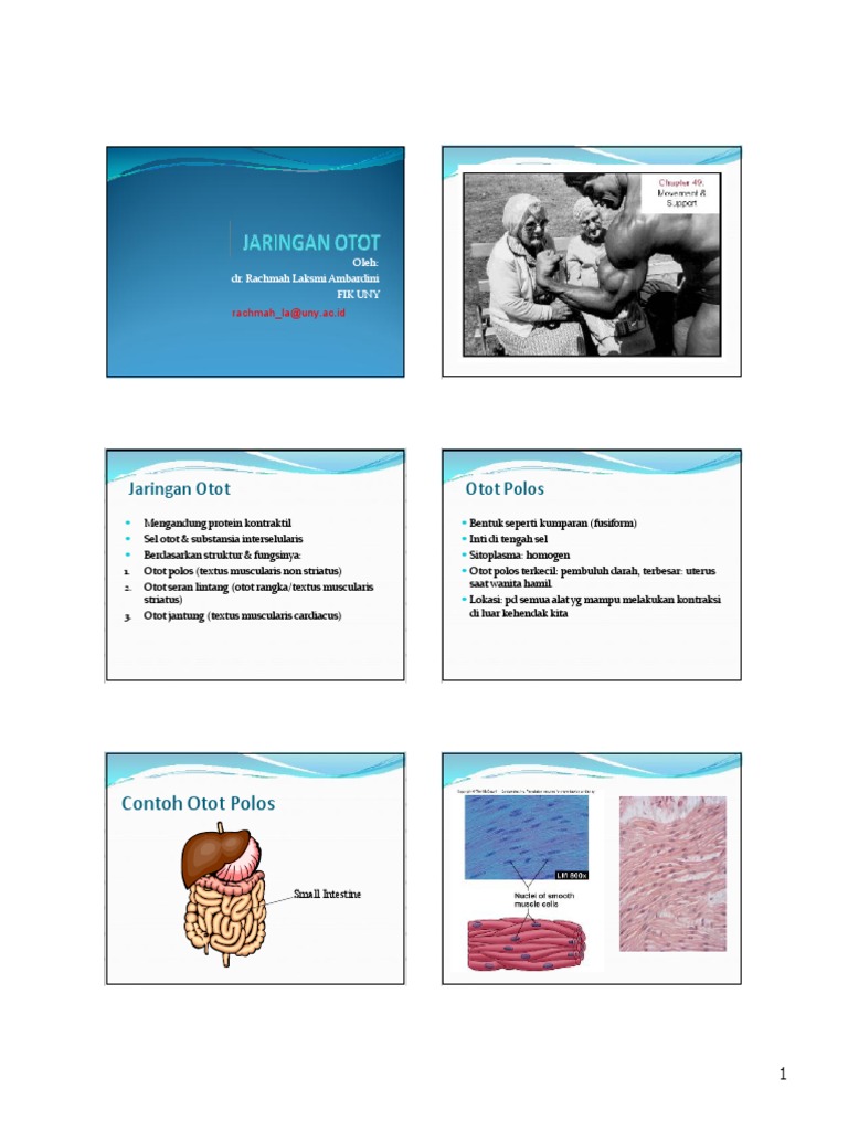 Jaringan Otot | PDF