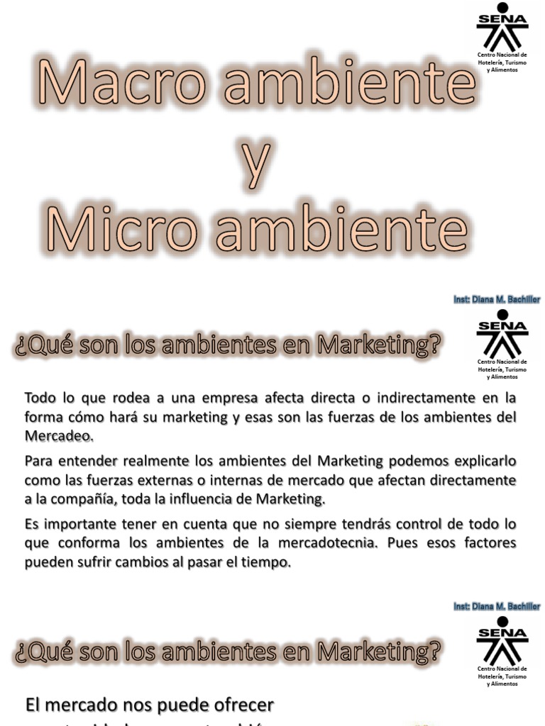 Macro y Micro Ambiente | PDF | Marketing | Turismo