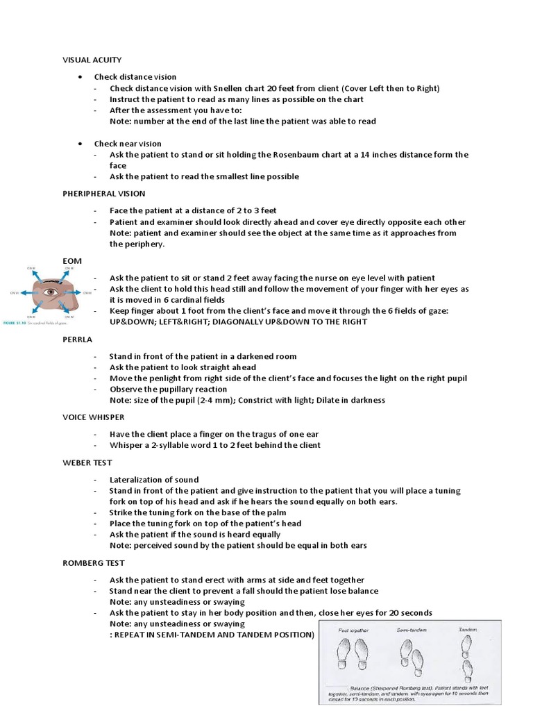 Retdem Guide | PDF | Heart | Cardiovascular System