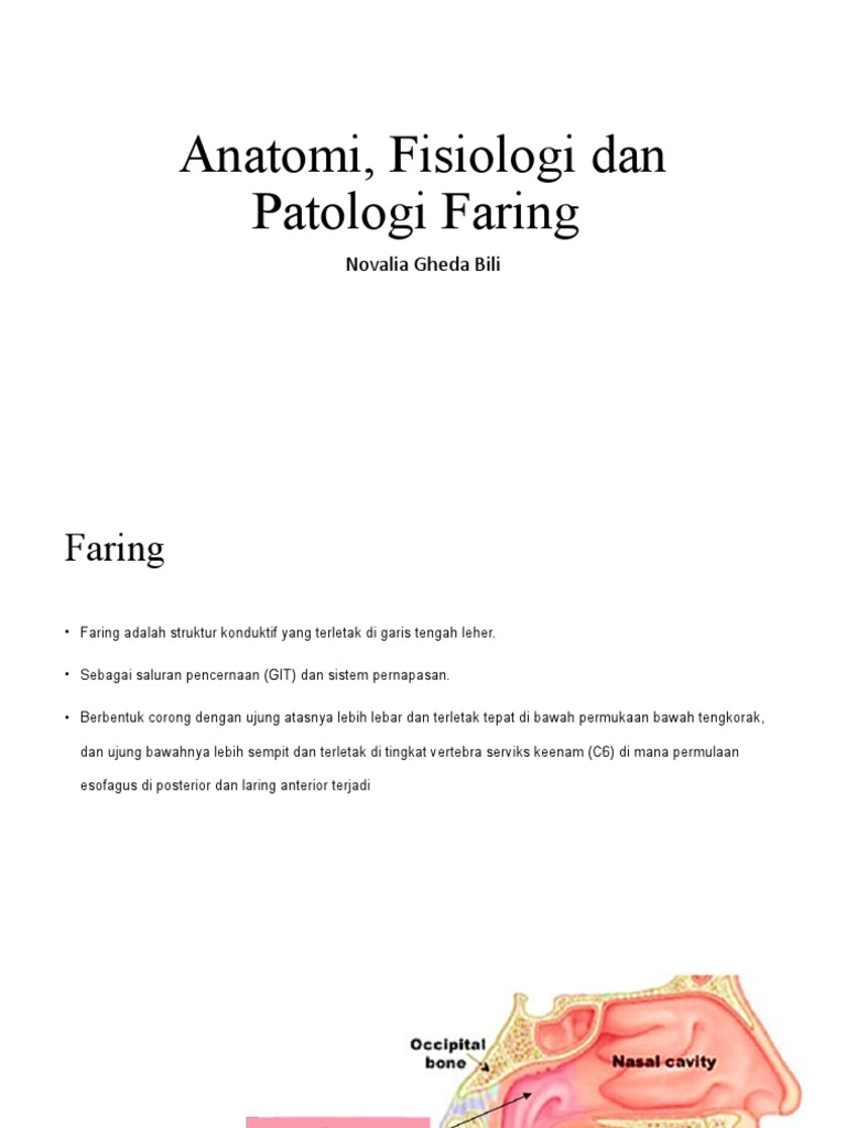 Anatomi, Fisiologi Dan Patologi Faring | PDF