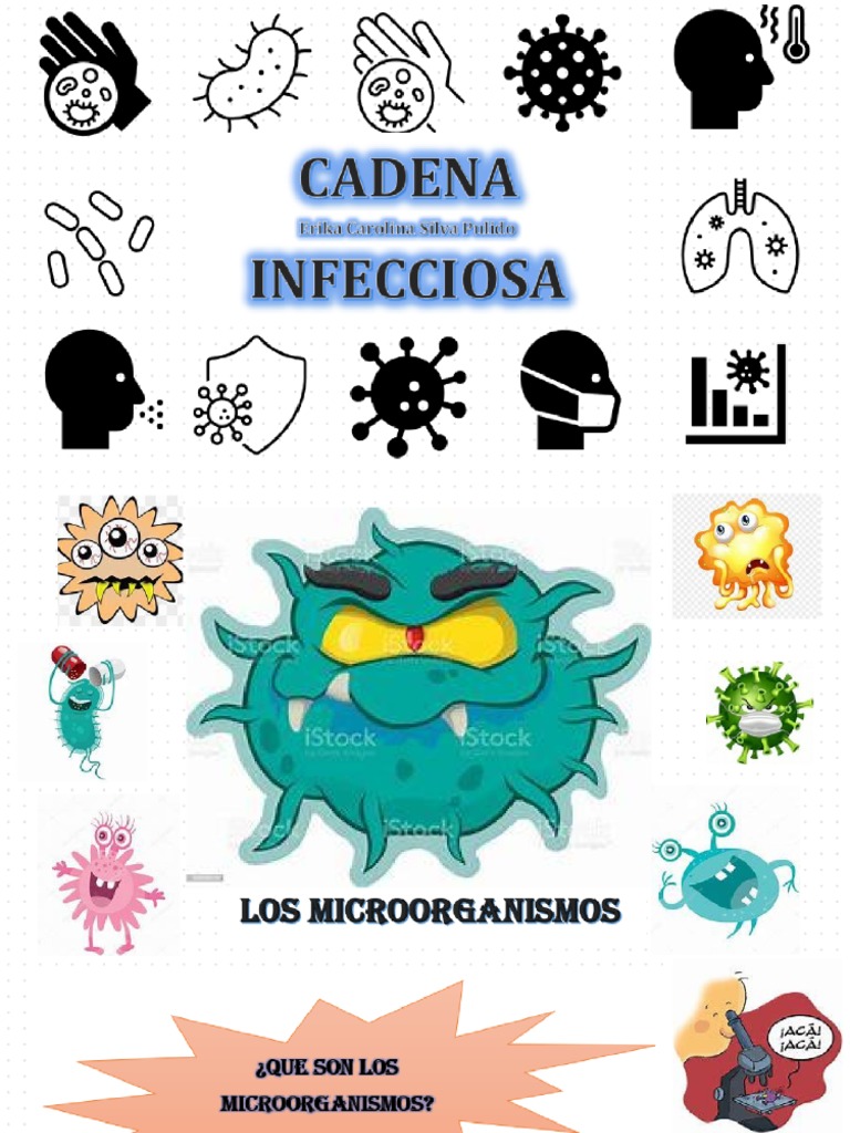 CADENA INFECCIOSA (3) | PDF