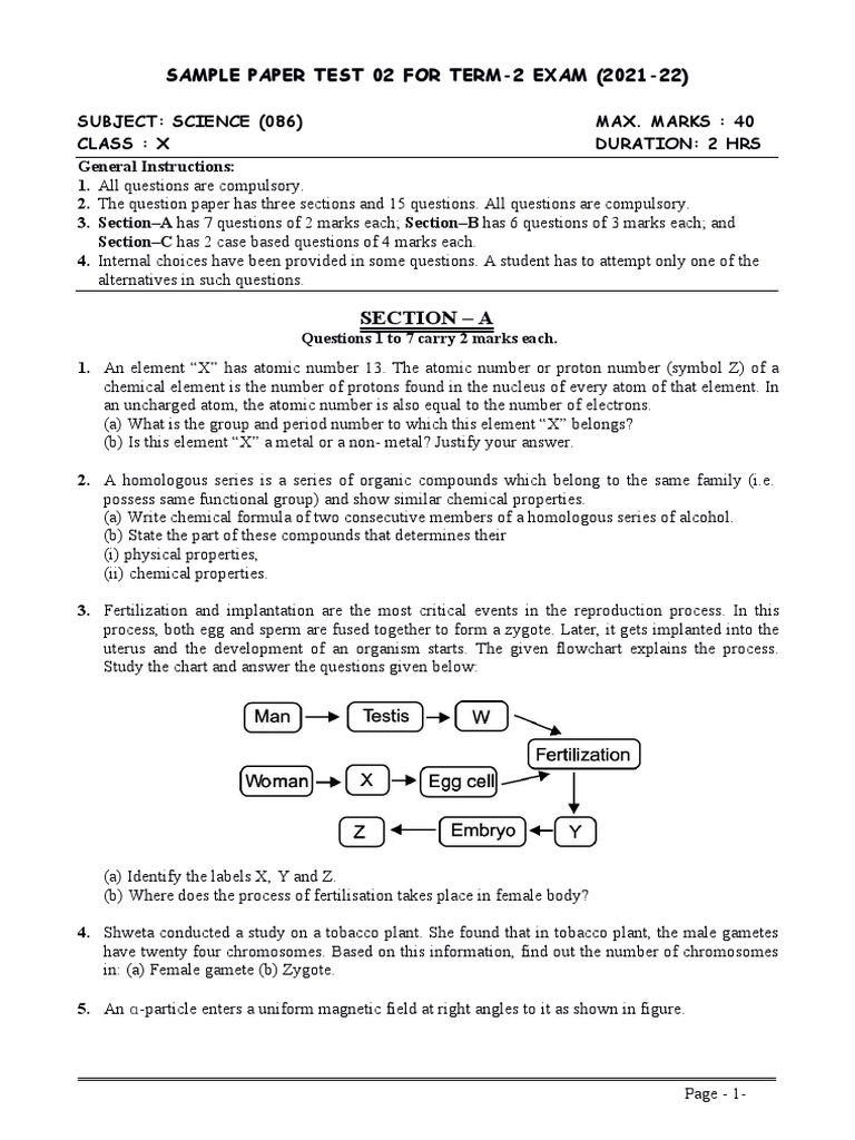 Science Class 10 Term 2 Sample Paper 2 | PDF | Valence (Chemistry ...