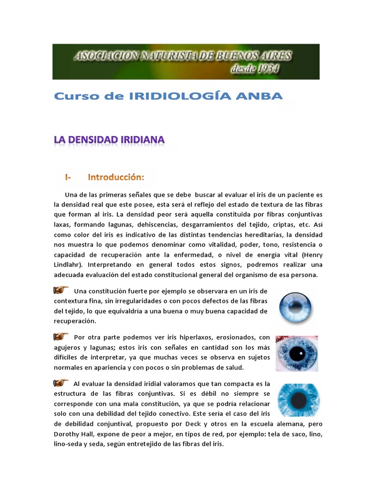Evaluación de la Densidad Iridial | PDF | Tejido conectivo | Color