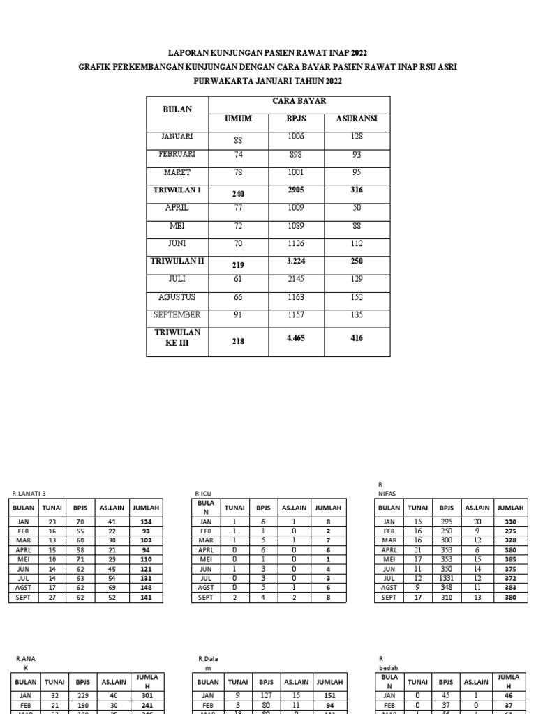 Laporan Kunjungan Pasien Rawat Inap 2022 | PDF