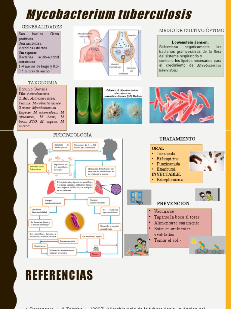 Generalidades de Mycobacterium tuberculosis | PDF | Salud y bienestar ...