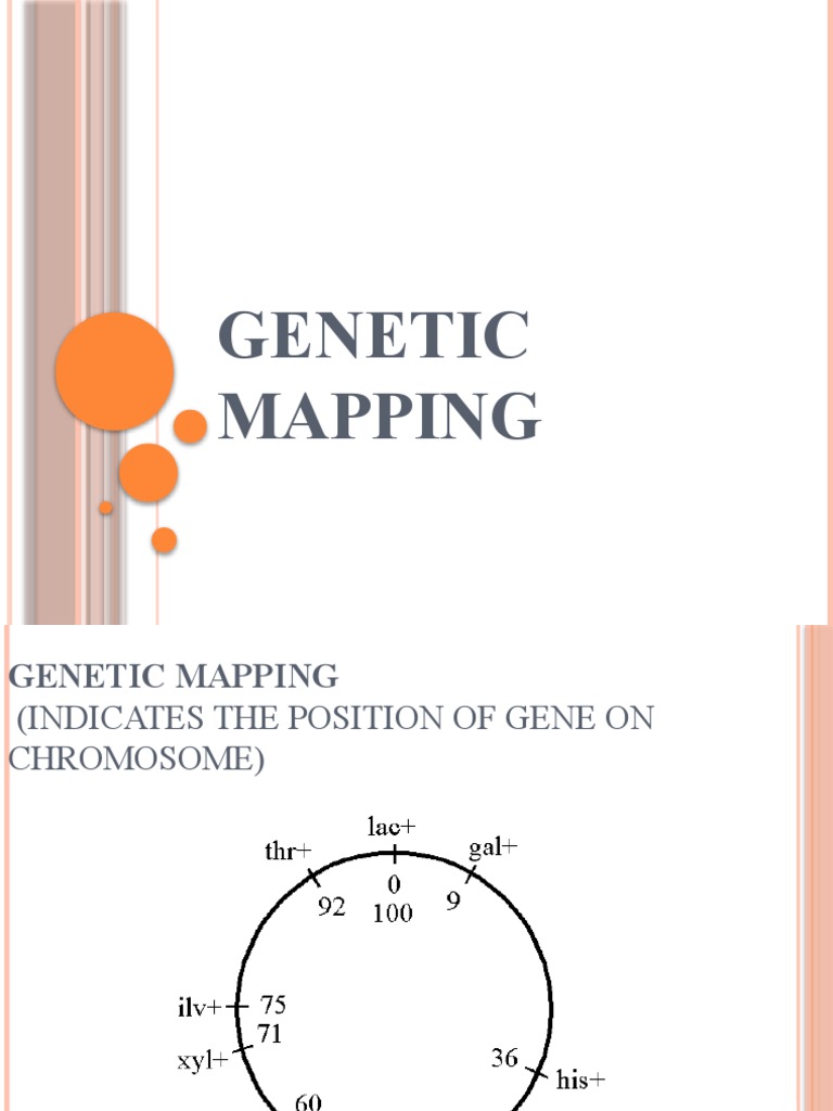 Genetic Mapping | PDF | Genetic Linkage | Genetics