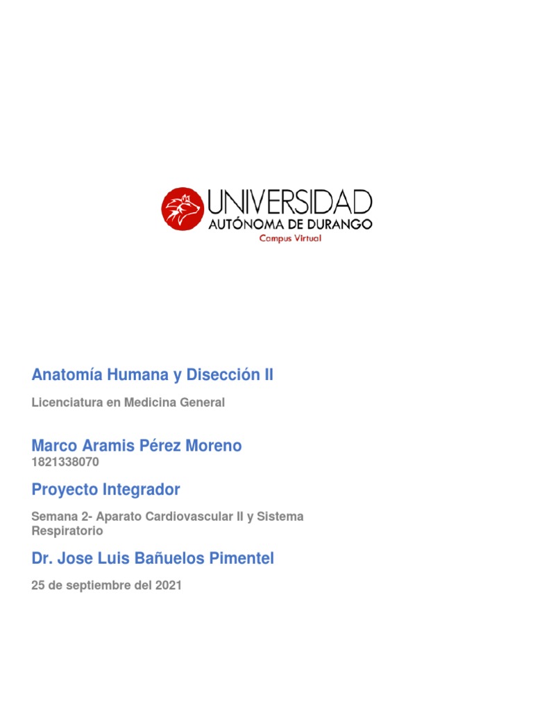 Proyecto Integrador 2 | PDF