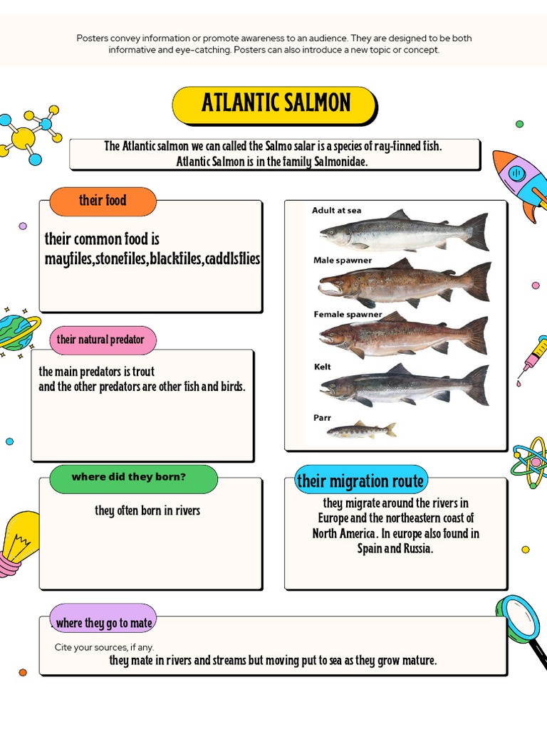 Salmon Poster LA Project JJW | PDF