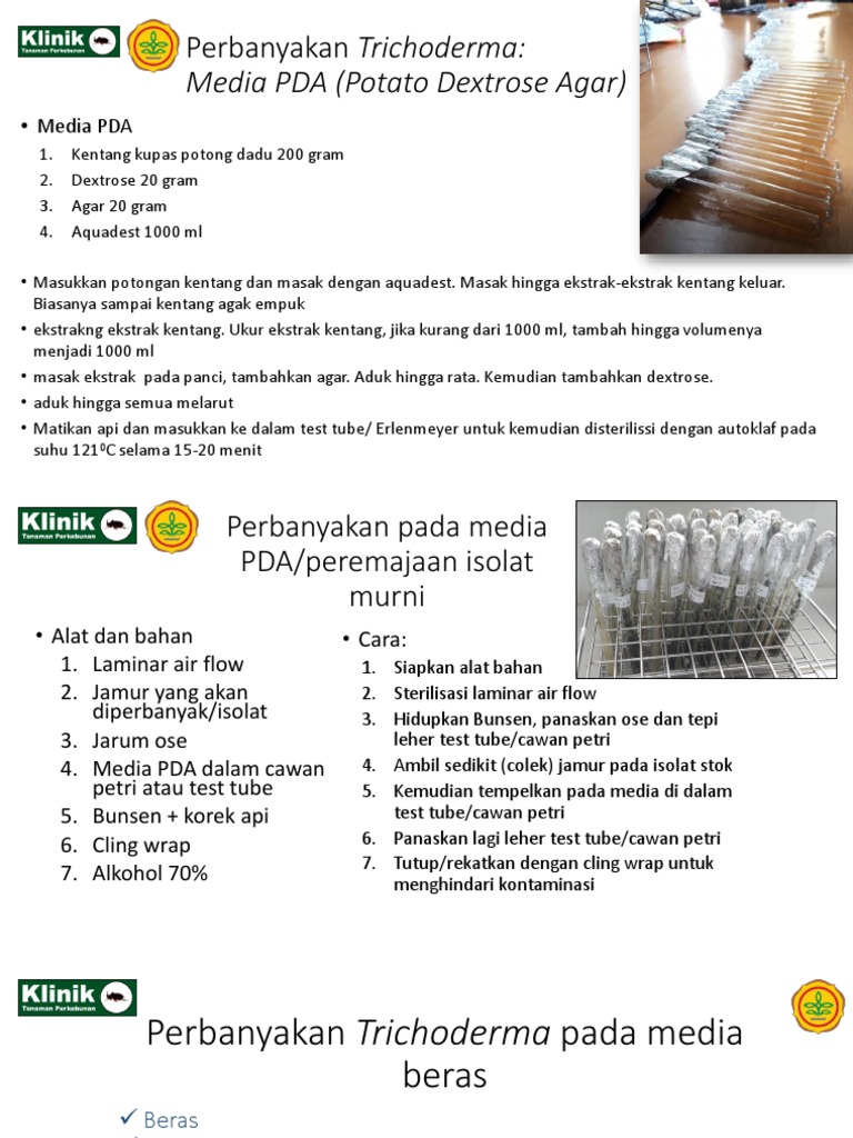 Perbanyakan Trichoderma | PDF