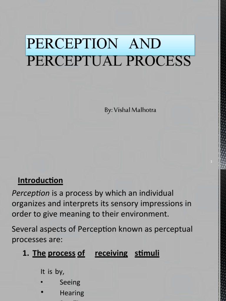 Understanding Perception Processes | PDF