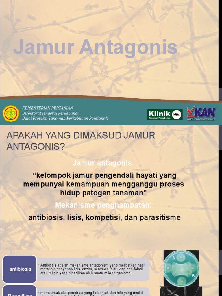 Penggunaan Jamur Antagonis dalam Pertanian | PDF