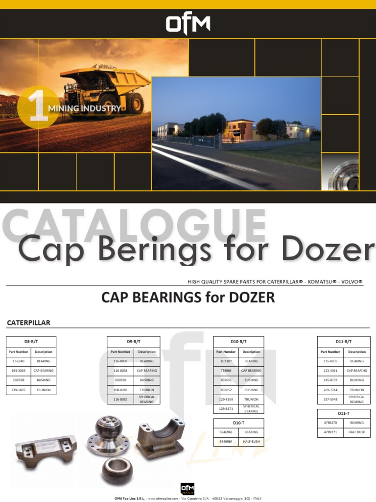 1D) Cap Bearings For Dozer Catalogue | PDF