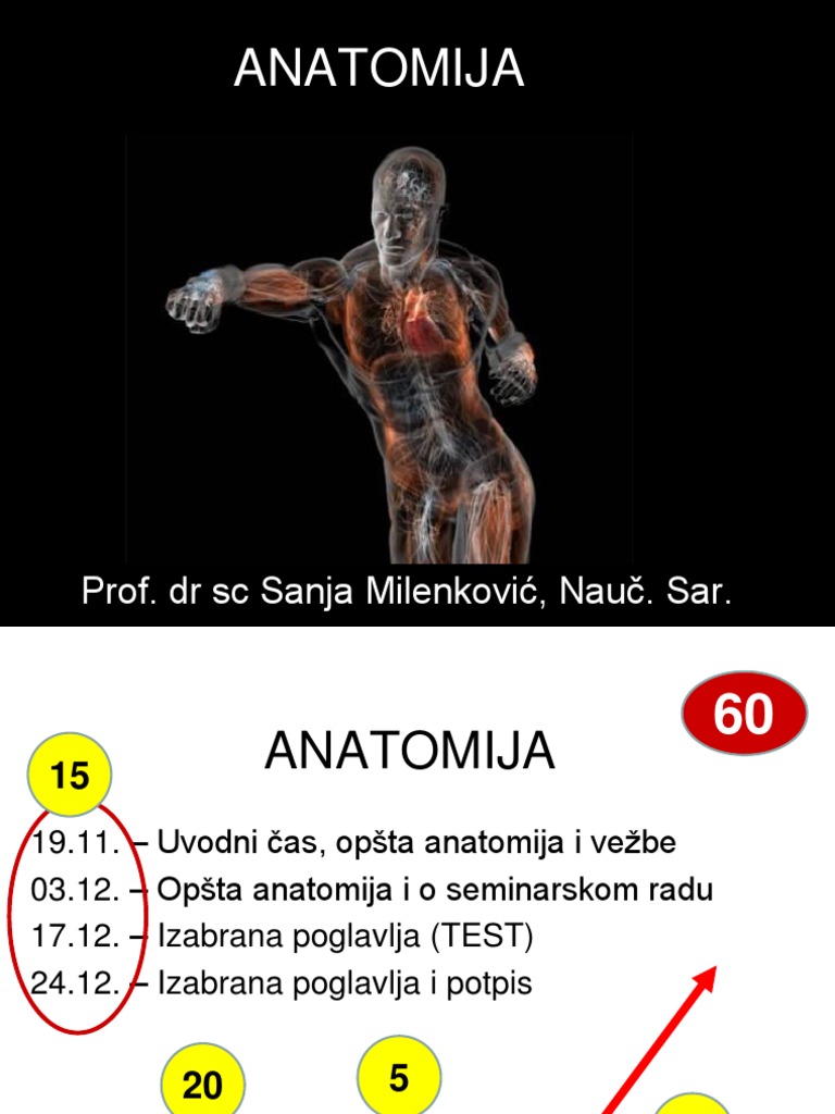 Anatomija Uvodni Čas Sa Instrukcijama Za Predmet | PDF