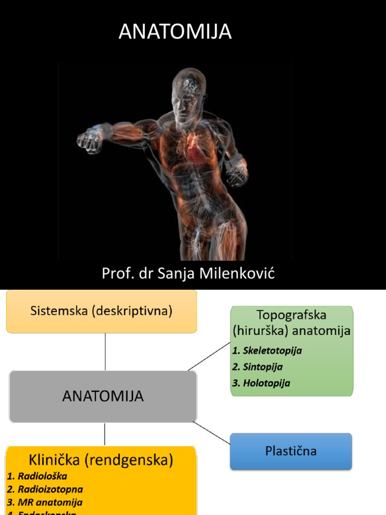 Opšta Anatomija 1 Deo PREDAVANJE | PDF