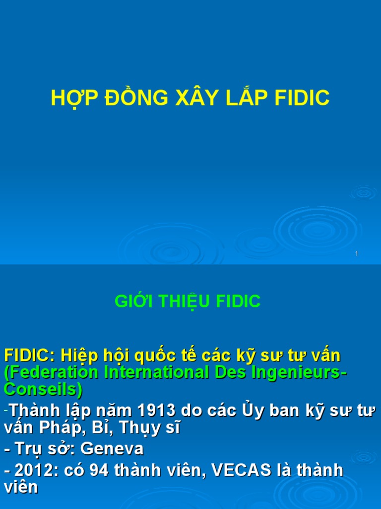 BG HD Fidic .Cpo | PDF