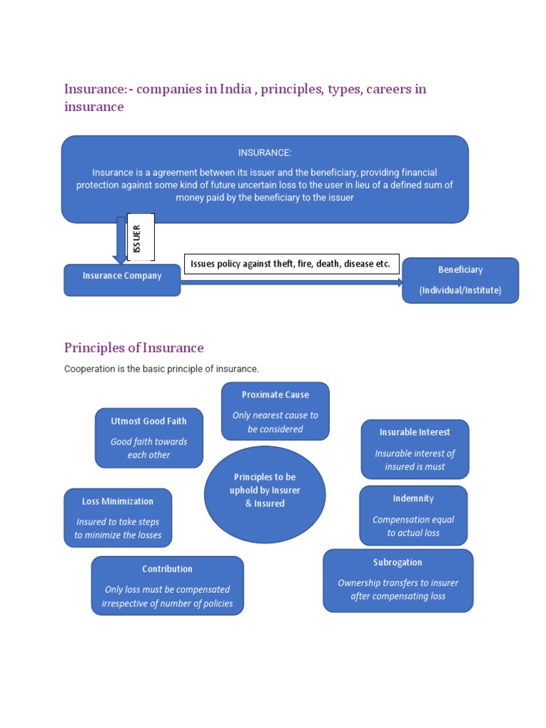 Insurance Project | PDF | Insurance | Life Insurance
