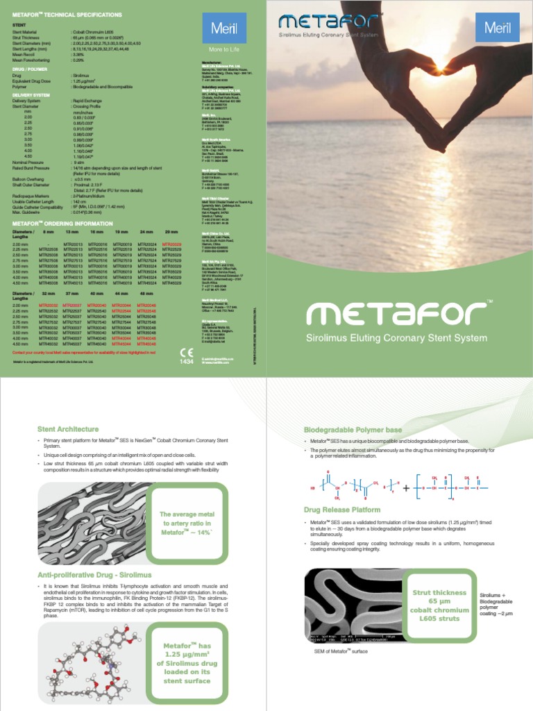 Discover Metafor - A Drug Eluting Stent Designed by Meril Life | PDF ...