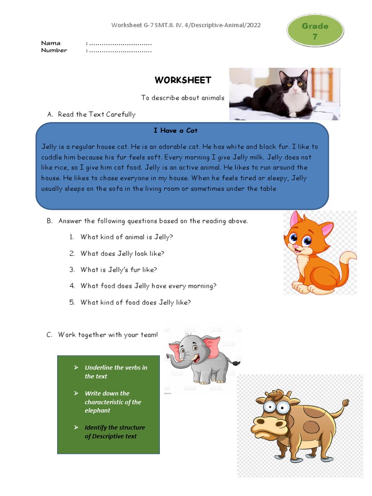 Descriptive Animal Worksheet 2022 | PDF | Cats | Organisms