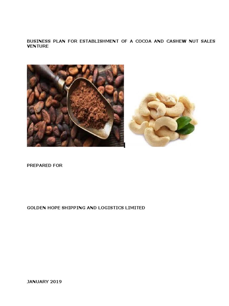 Business Plan For Establishment of A Cocoa and Cashew Sales Venture | PDF