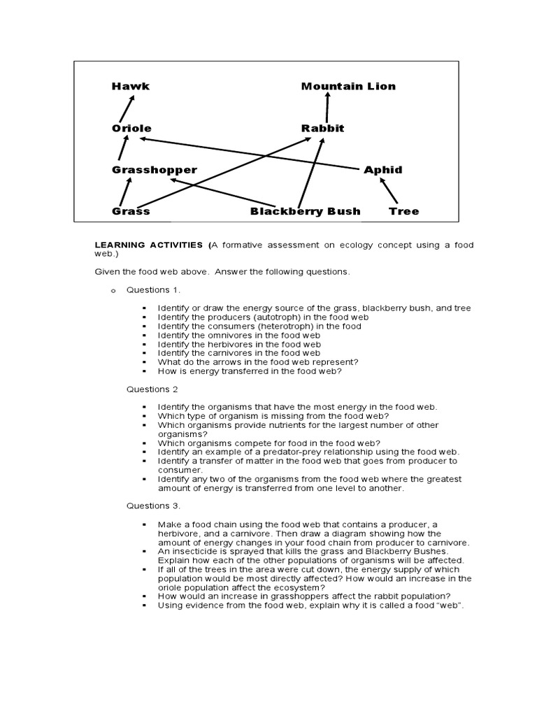 Assignment Food Web | PDF