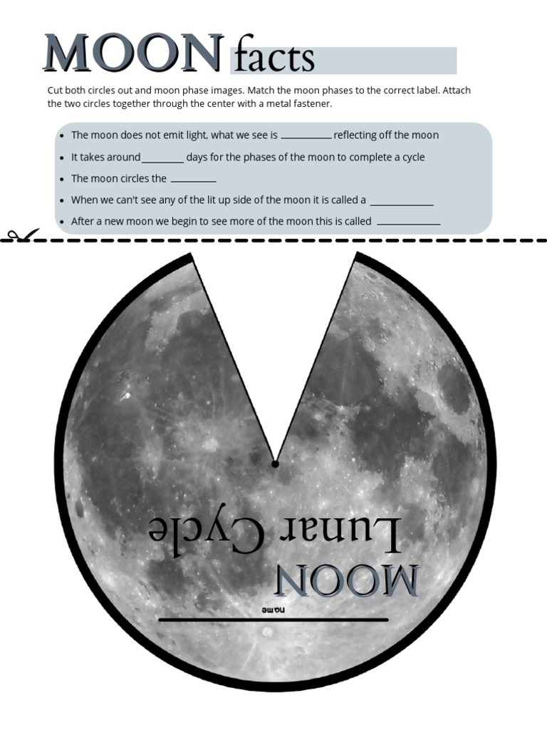 Moon Phases Matching Activity | PDF