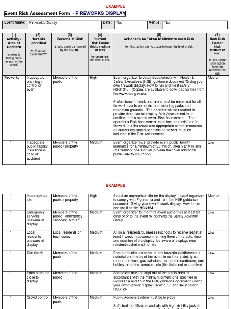 Firework Display FRA | Download Free PDF | Risk | Risk Assessment