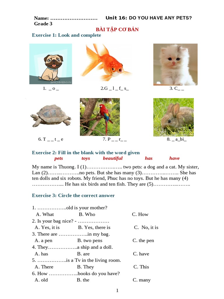 Ngữ pháp tiếng anh lớp 3 UNIT 16 | PDF | Animals And Humans ...
