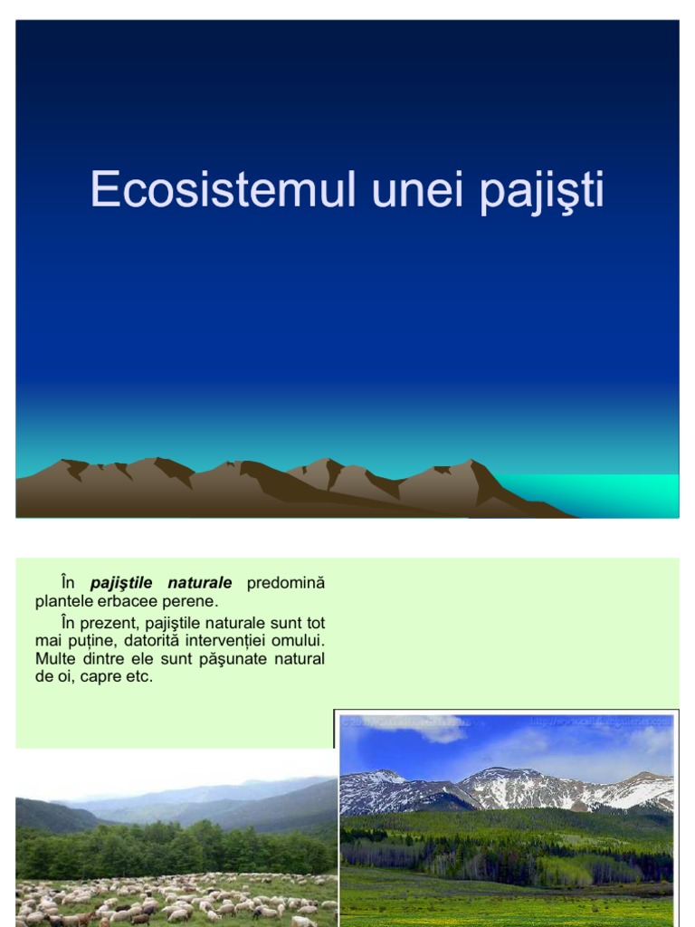 Lectie 6 - Ecosistemul Unei Pajisti | PDF