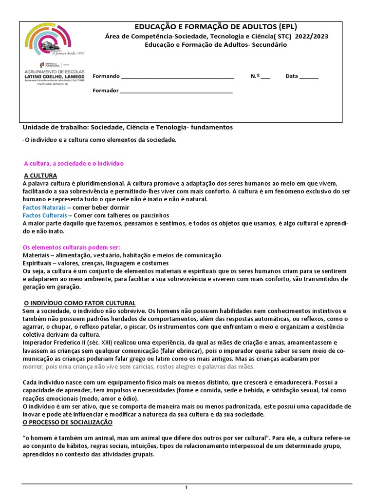 Cultura e Indivíduo na Sociedade | PDF | Sociedade | Aprendizado