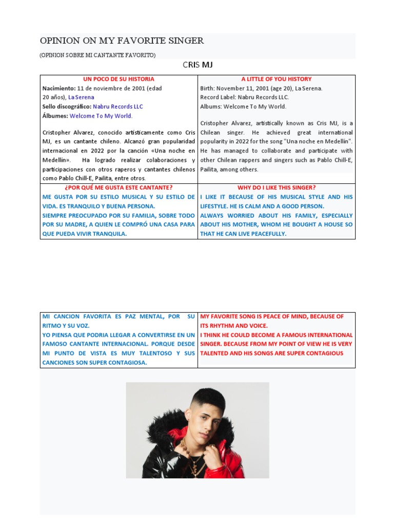 Opinion On My Favorite Singer | PDF | Pintada