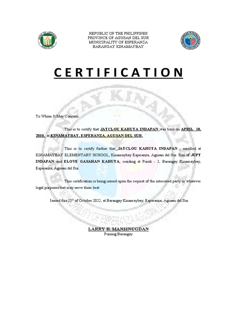 Brgy Cert - No Birth | PDF | Philippines