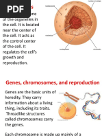 Extra Questions, CELL, CLASS-9 | PDF | Cell (Biology) | Endoplasmic ...