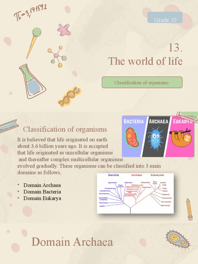 Classification and Characteristics of the Three Domains of Life | PDF | Organisms | Bacteria