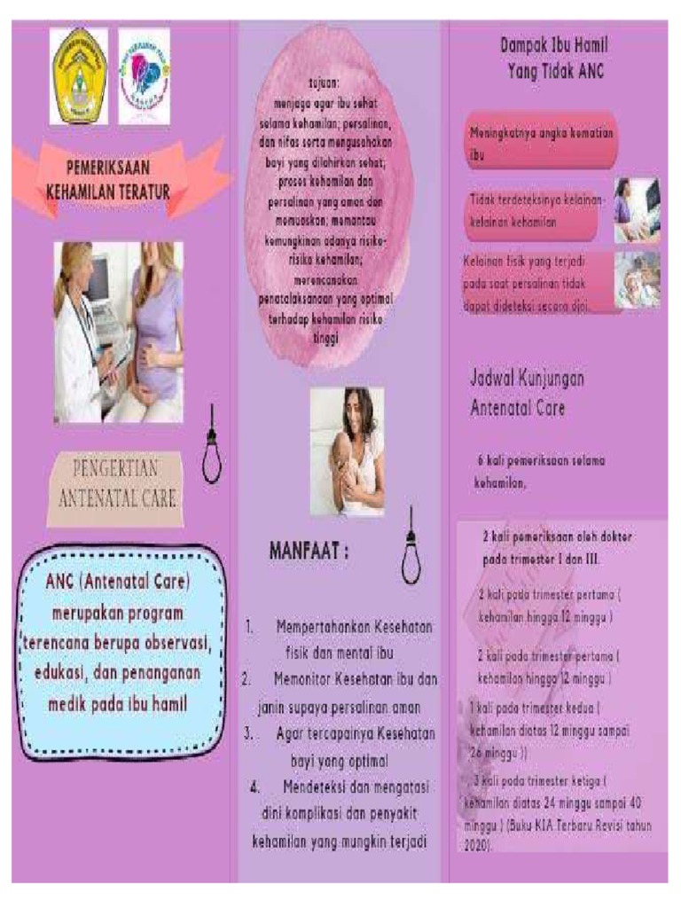 Leaflet ANC Teratur | PDF