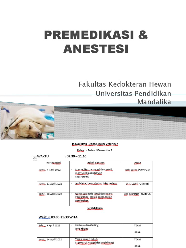 Premedikasi Dan Anesthesia | PDF