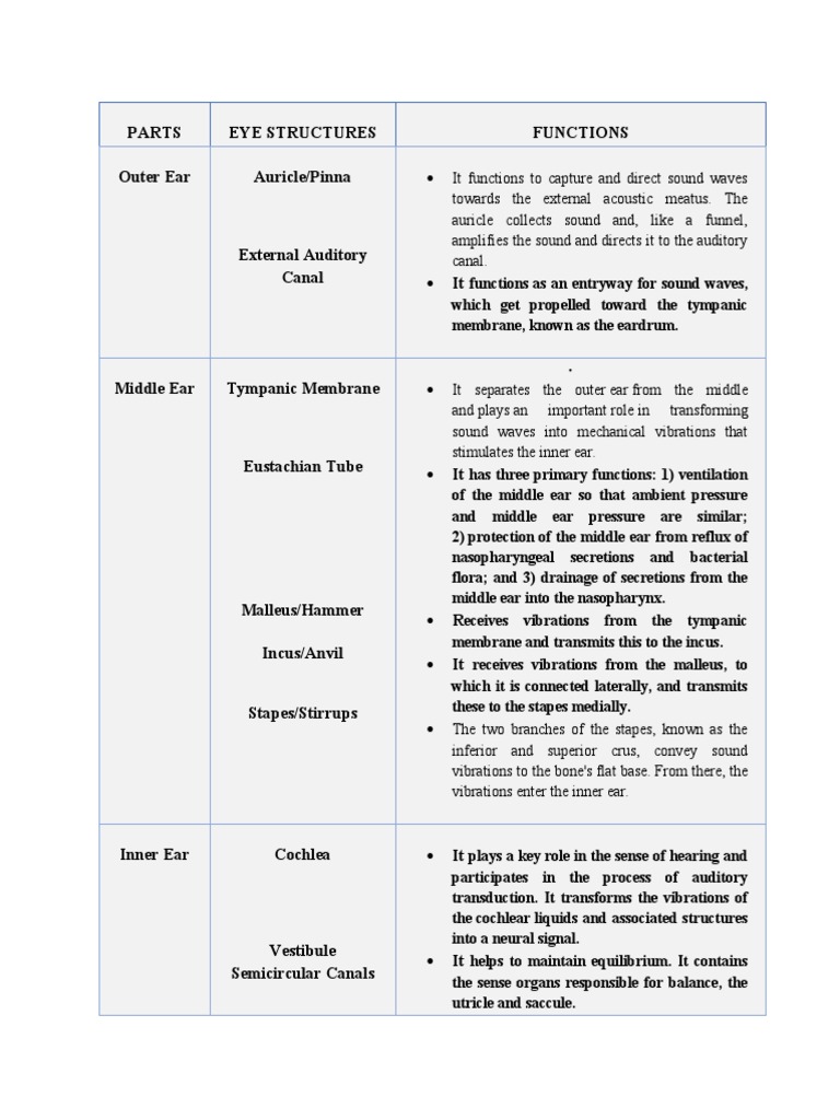 Week 16. INDIVIDUAL ASSIGNMENT Review of Ear Ana Physio | PDF | Ear ...