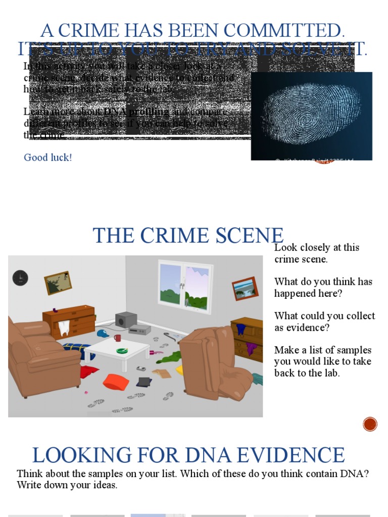 DNA Crime Scene Detective | PDF | Dna Profiling | Crime Scene