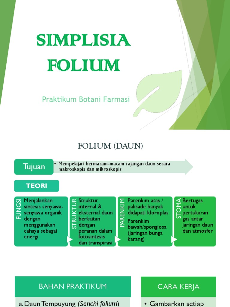 Folium Dan Flos | PDF