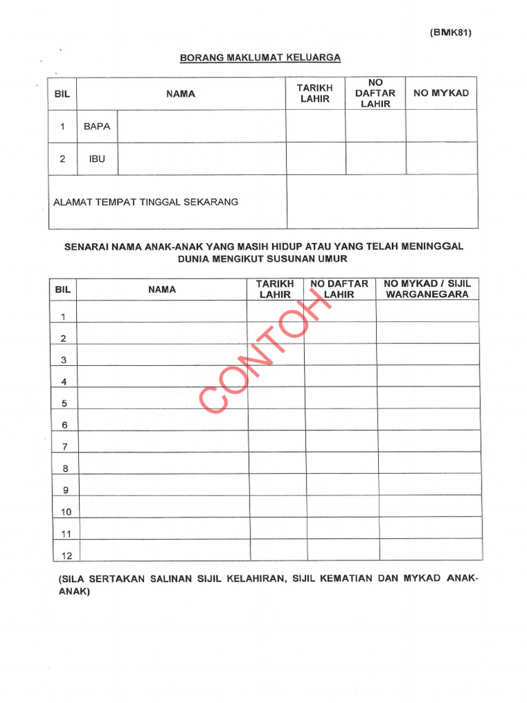 Document Content Placeholder | PDF