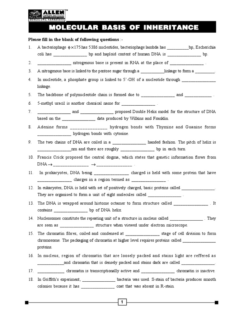4. Molecular Basis of Inheritance | PDF | Translation (Biology) | Gene