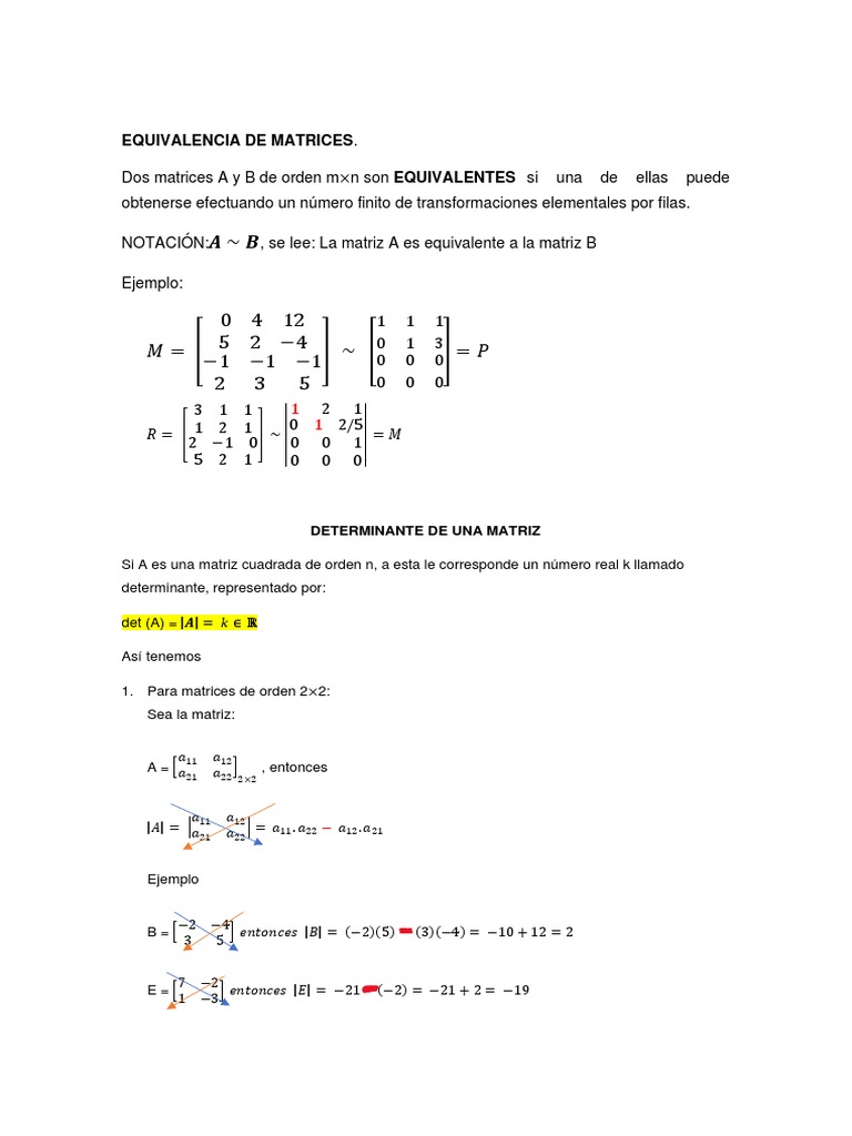 Equivalencia de Matrices y Determinante de Matrices | PDF ...