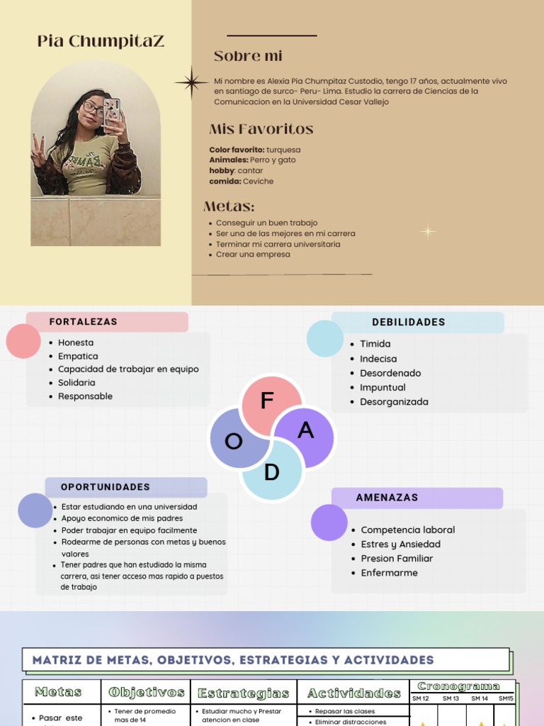 Proyecto Challenge | PDF